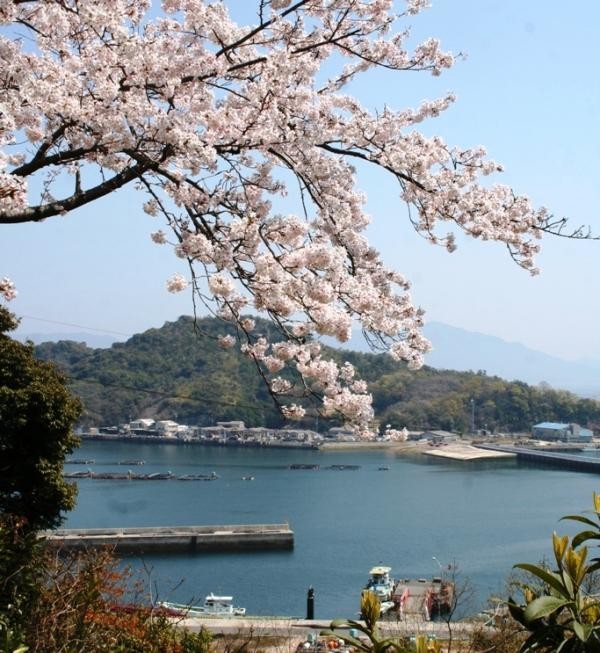 Atata Island | The Official Guide to Hiroshima｜Dive! Hiroshima